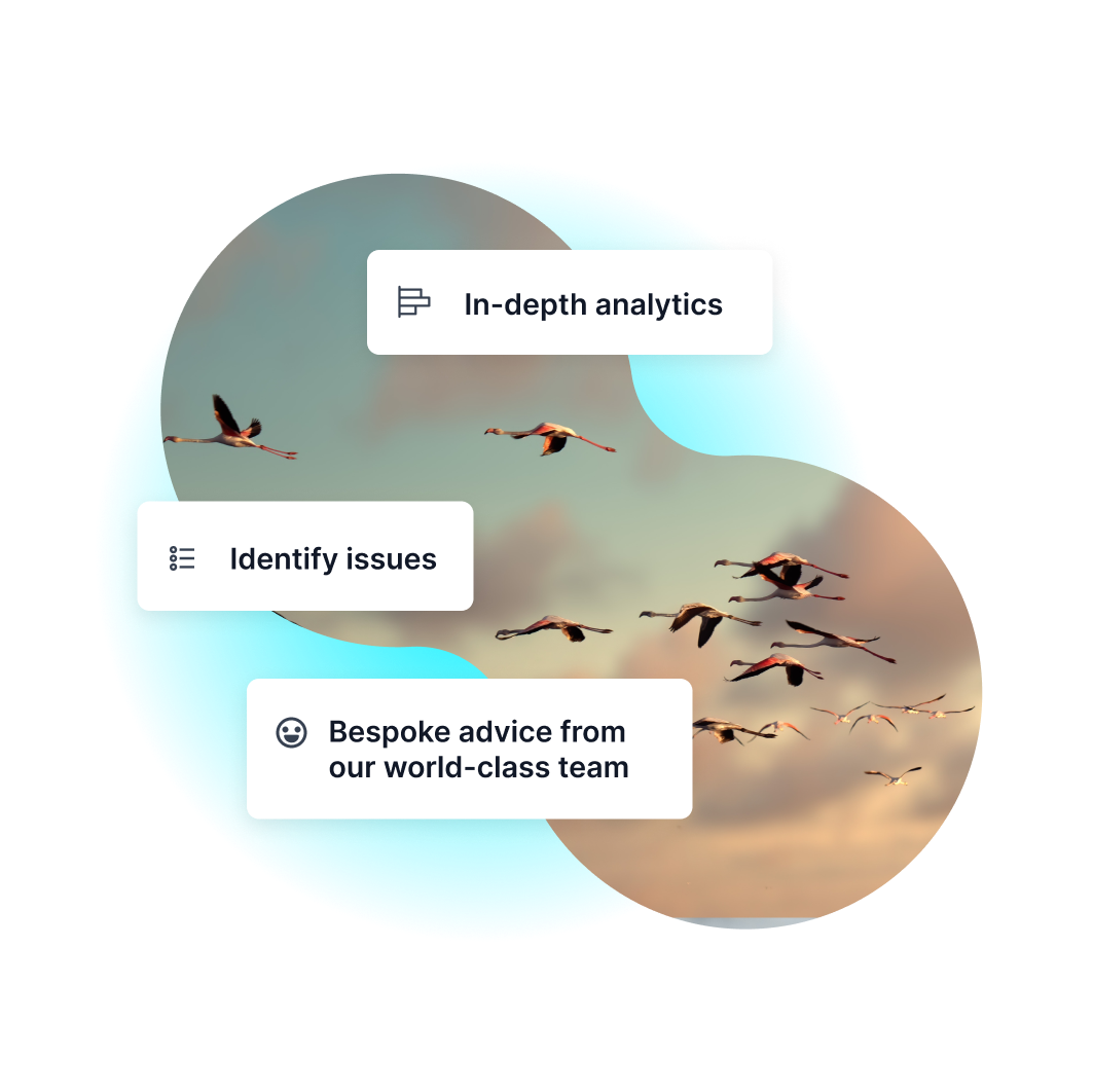 Website Migrations go smoother with Lumar's website intelligence platform