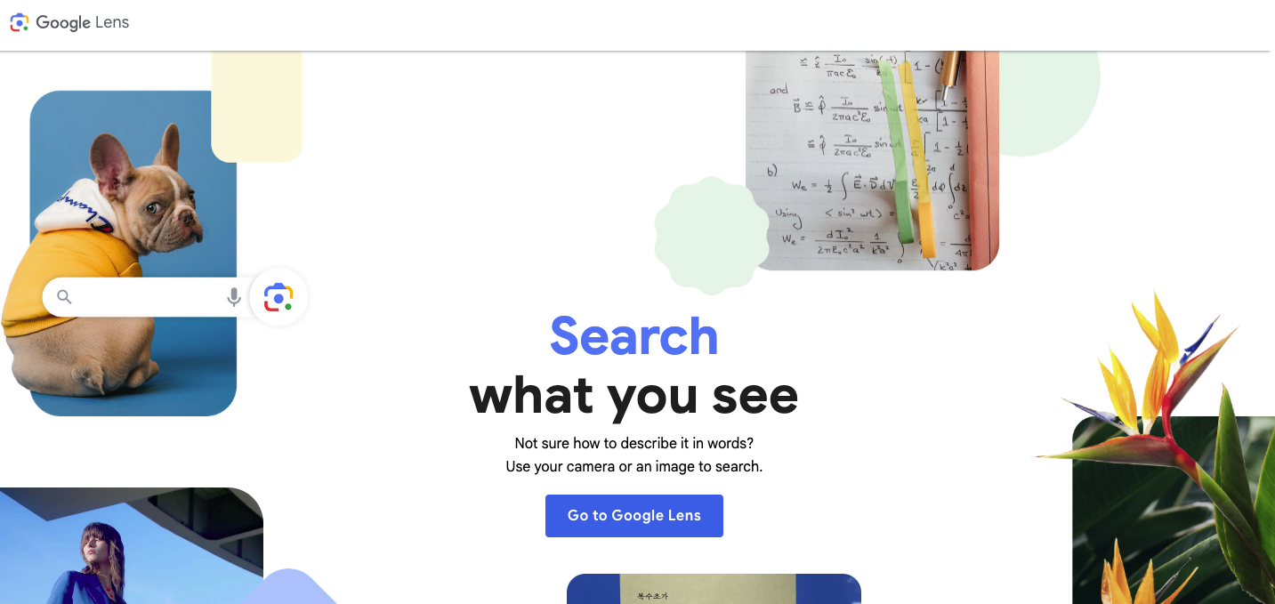 Multimodal Search in 2025: Image, Video, & Voice Search [SEO News]